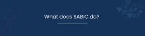 SABIC Vendor & Business Support Services | Analytix Arabia